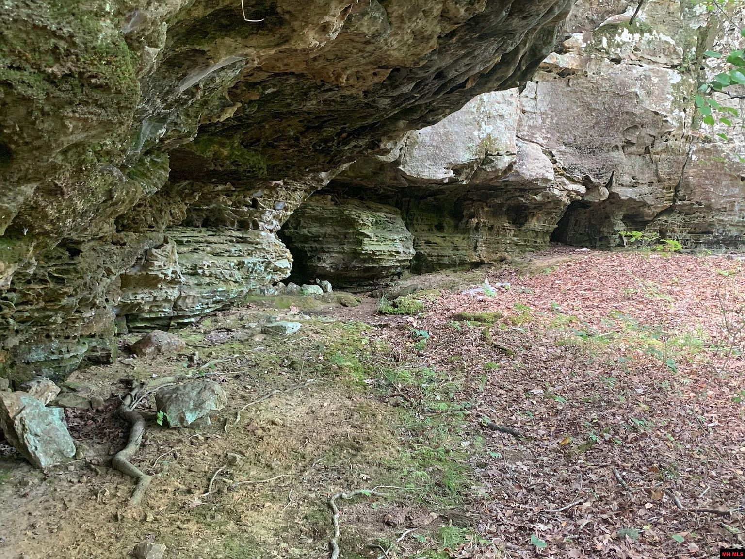 495 McCarty Ridge Rd, Drasco, AR 72530 | Zillow