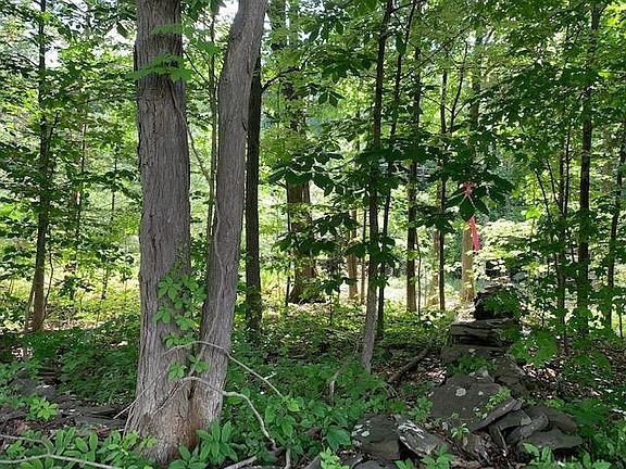 L11.12 Alcove Road, Coeymans Hollow, NY 12046 | Zillow