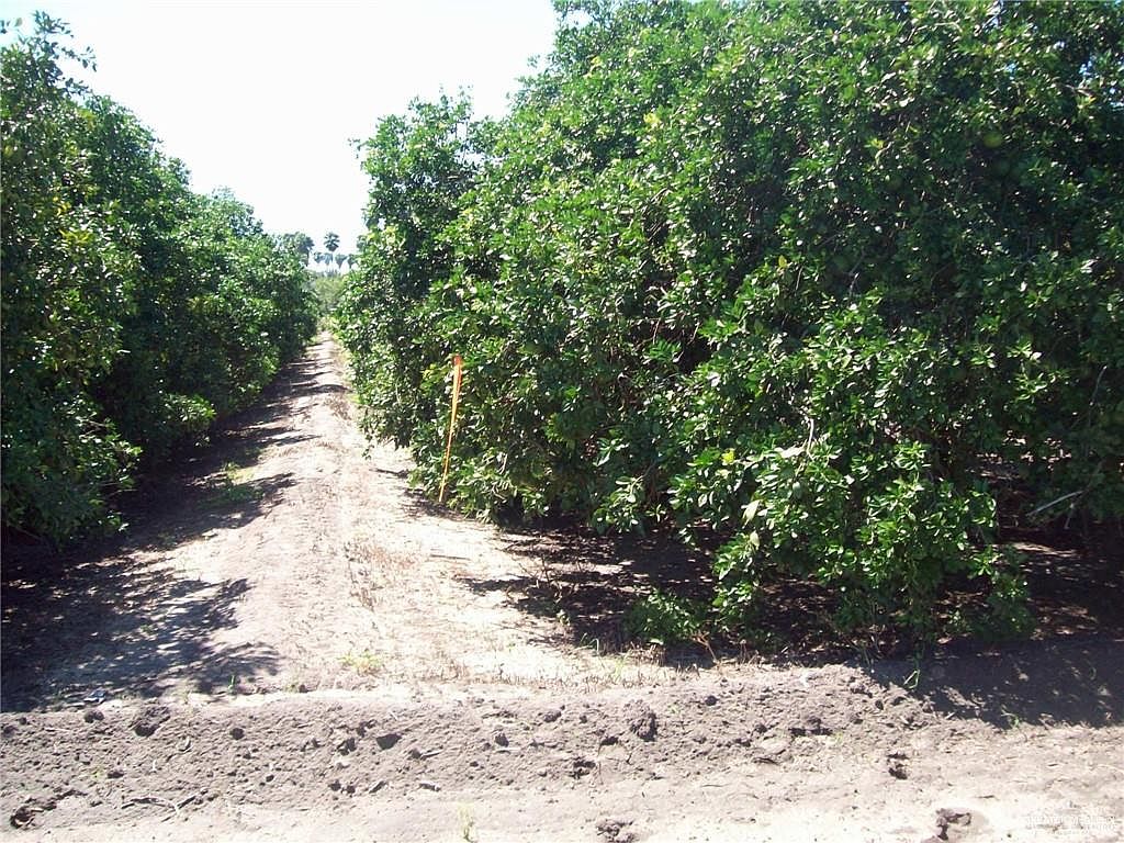 Tbd N White Ranch Rd, La Feria, TX 78559 | Zillow