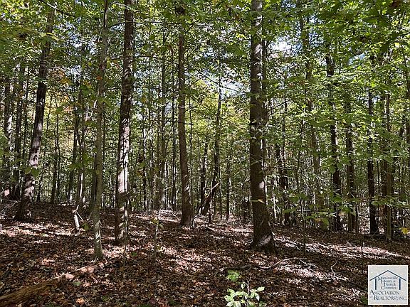 LOT 19 Glenn Ln, Critz, VA 24082 | MLS #142145 | Zillow