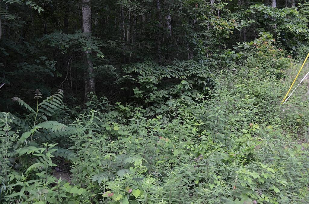 0 Dunlukin Dr, Spring City, TN 37381 | Zillow