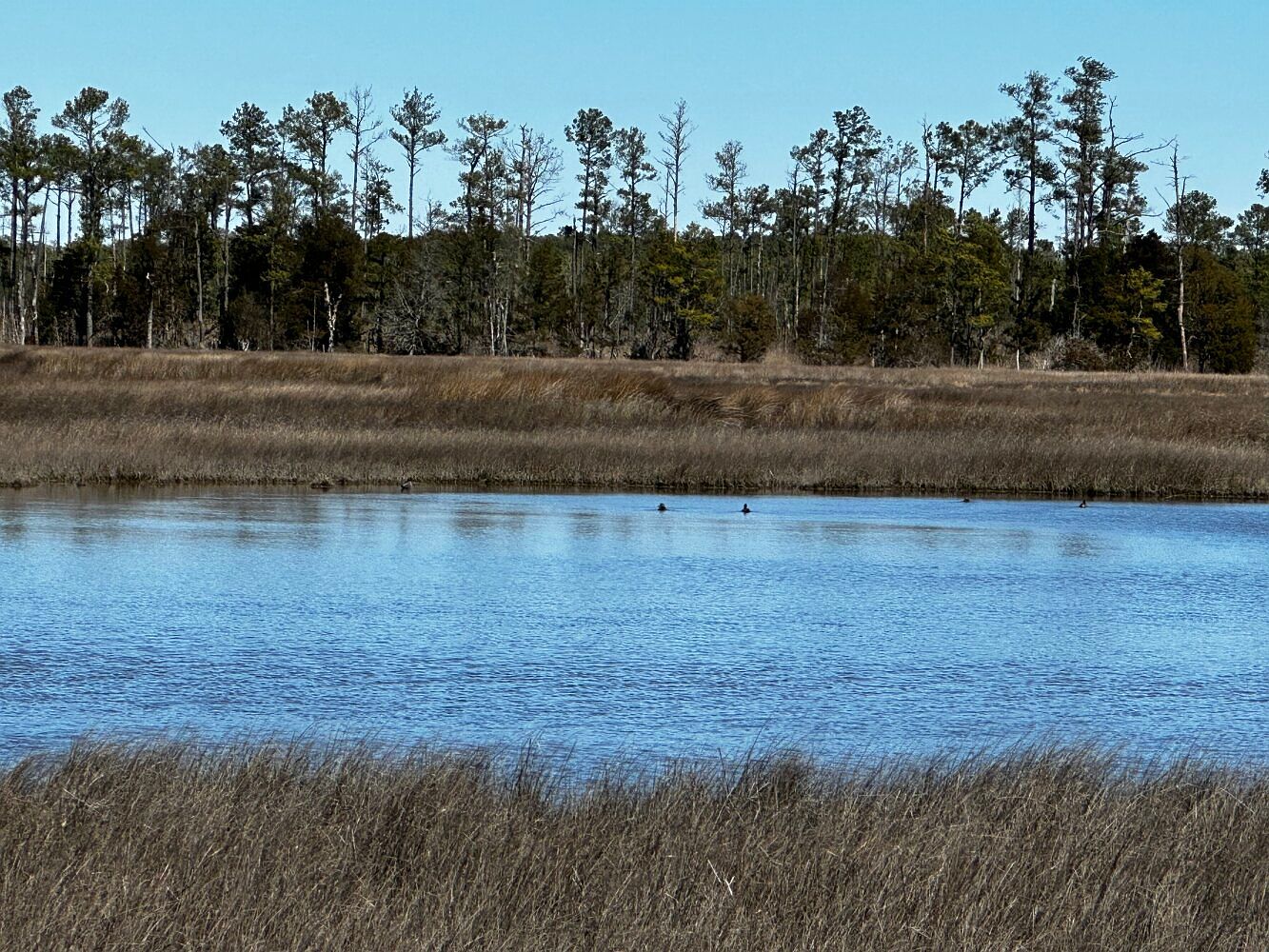 1000 Bethel Beach Rd, Onemo, VA 23130 | Zillow
