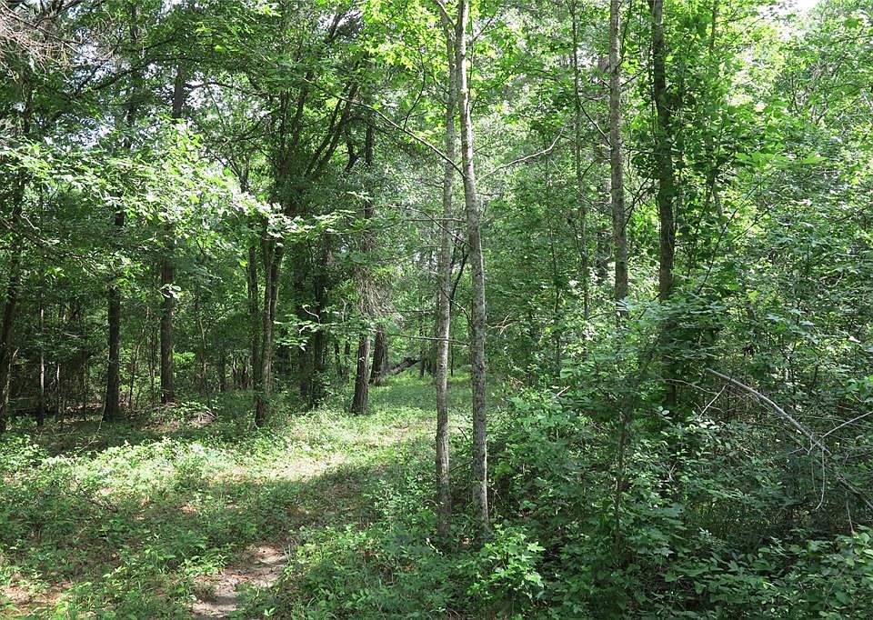 Neal Helton Rd, Kennard, TX 75847 | MLS #39032993 | Zillow