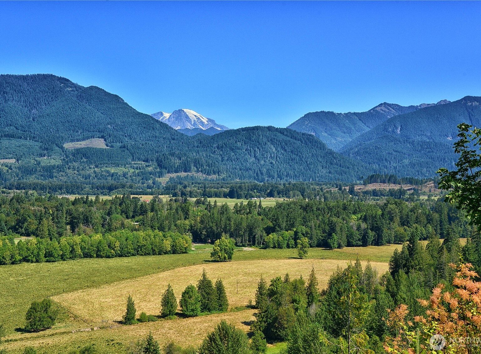 3 Skinner Road, Randle, WA 98377 | MLS #2413640 | Zillow