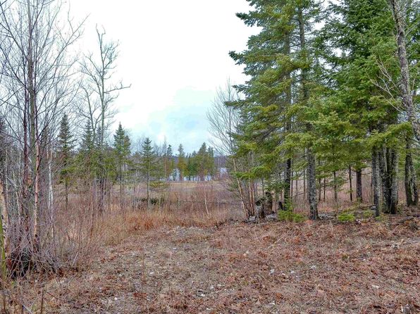 Finland MN Real Estate - Finland MN Homes For Sale | Zillow