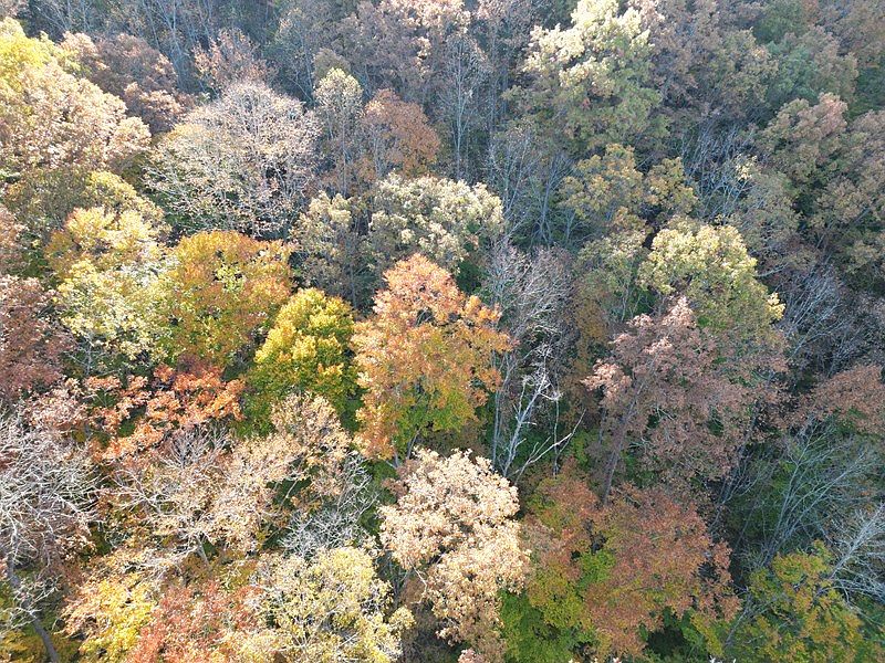 0 Sassafras Ridge Rd, Grantsville, WV 26147 | Zillow