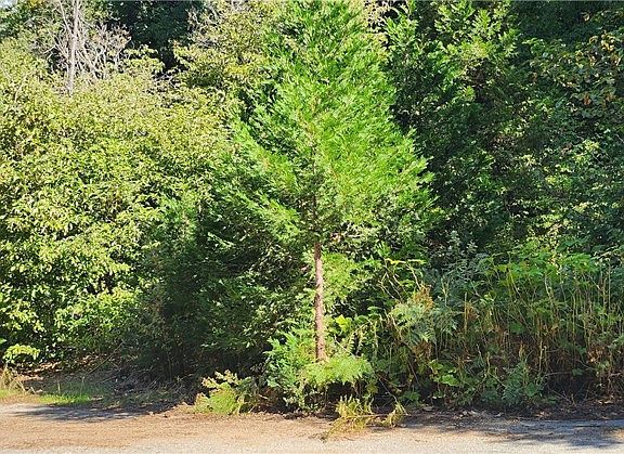 0 Maple Rd #8, Skyforest, CA 92385 | MLS #RW22223918 | Zillow