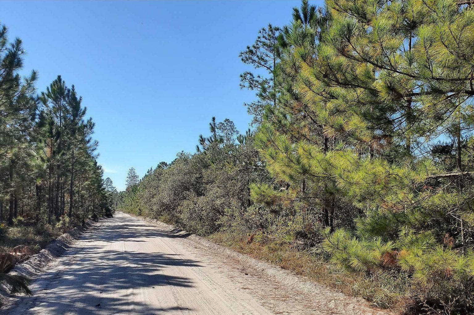 0 SW County Line Rd, Lee, FL 32059 | MLS #121580 | Zillow