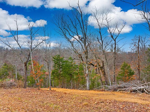 1556 Hollow Springs Way, White Pine, TN 37890 | MLS #702122 | Zillow