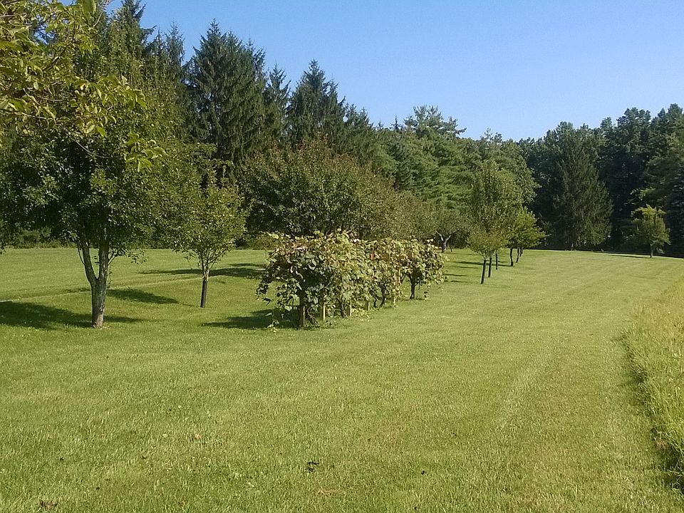 4609 Bozoo Rd, Peterstown, WV 24963 | Zillow