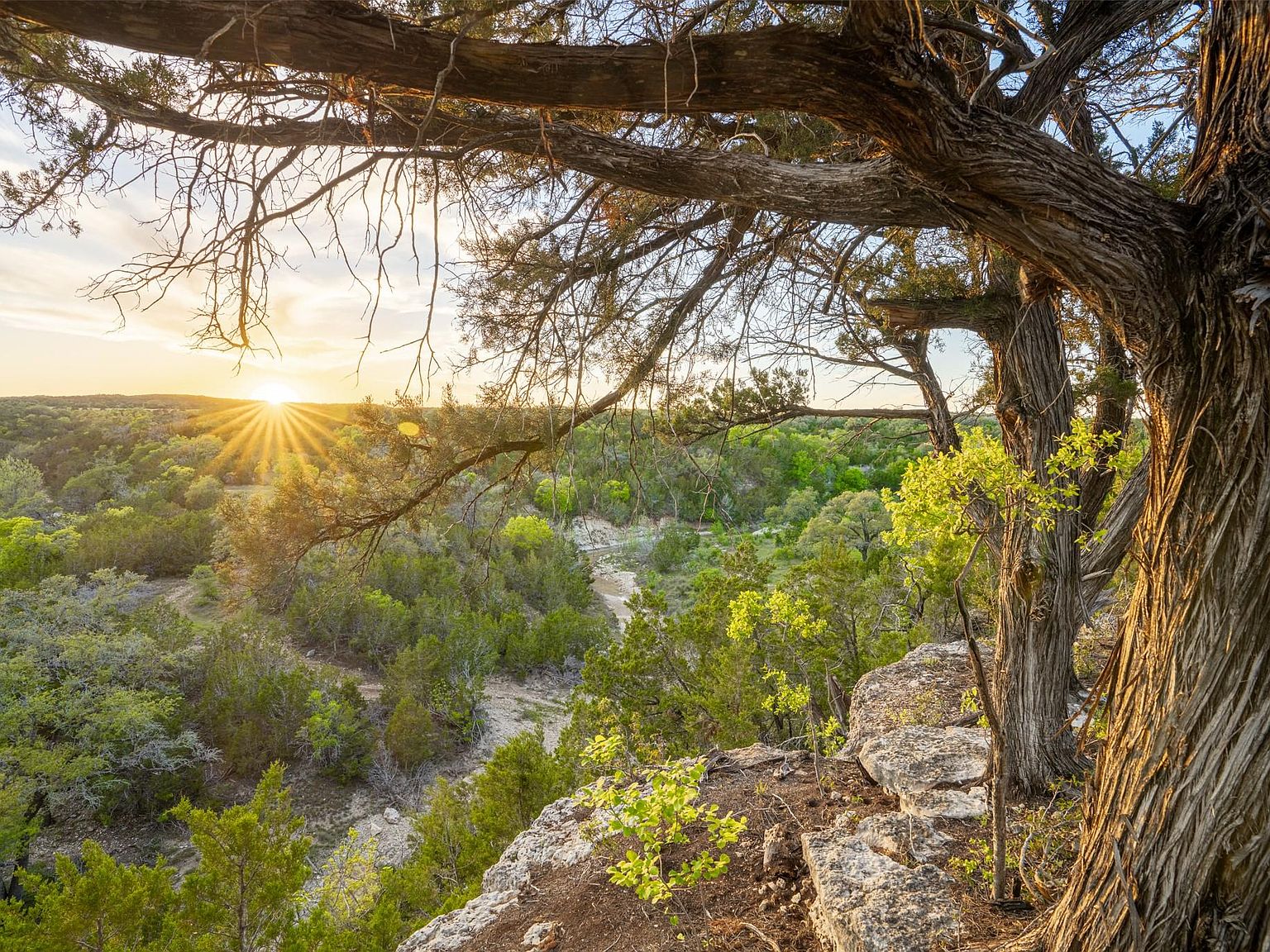 1020 Pursley Rd, Dripping Springs, TX 78620 | MLS #39282933 | Zillow