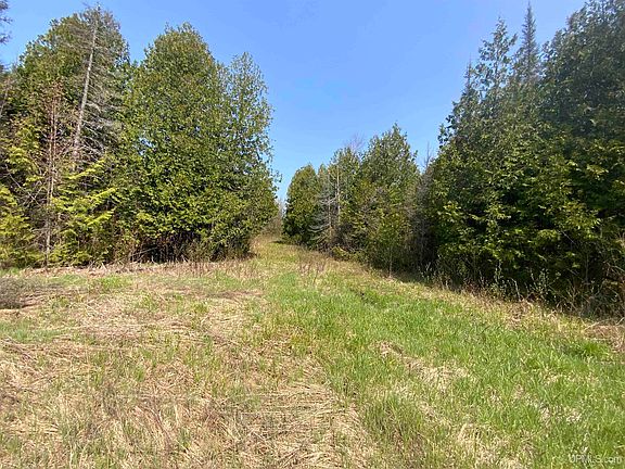 Rm Rd, Rock, MI 49880 | MLS #50142411 | Zillow