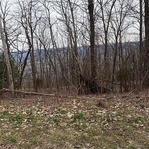 0 Dunlukin Dr, Spring City, TN 37381 | Zillow