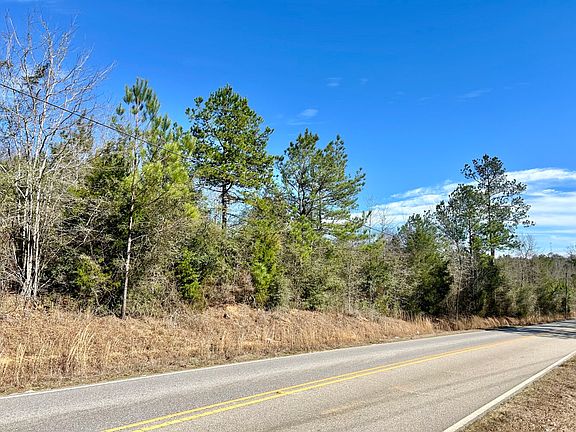 0 Pea Ridge Rd TRACT A, Brewton, AL 36426 | MLS #11254495 | Zillow