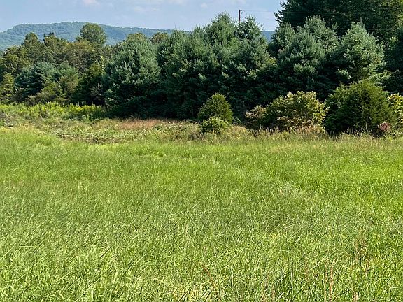 LOT 2 Ellison Ridge Rd, Jumping Branch, WV 25969 | MLS #24-1200 | Zillow