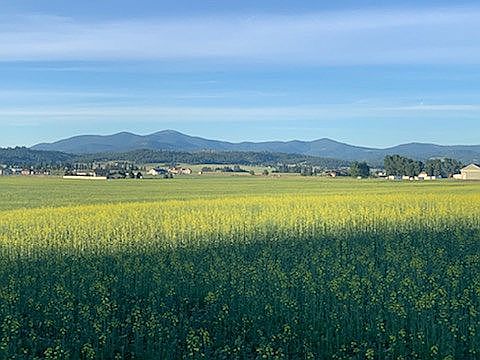 E Peone Rd, Mead, WA 99021 | Zillow