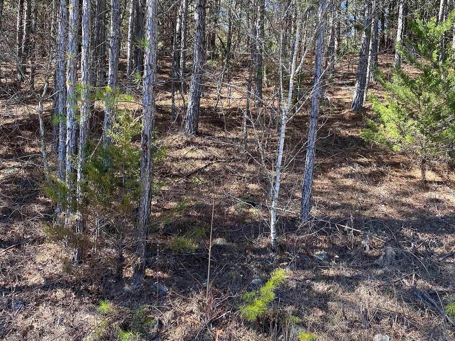 LOT 3 Alyson Ave NW, Fort Payne, AL 35968 | MLS #21853760 | Zillow