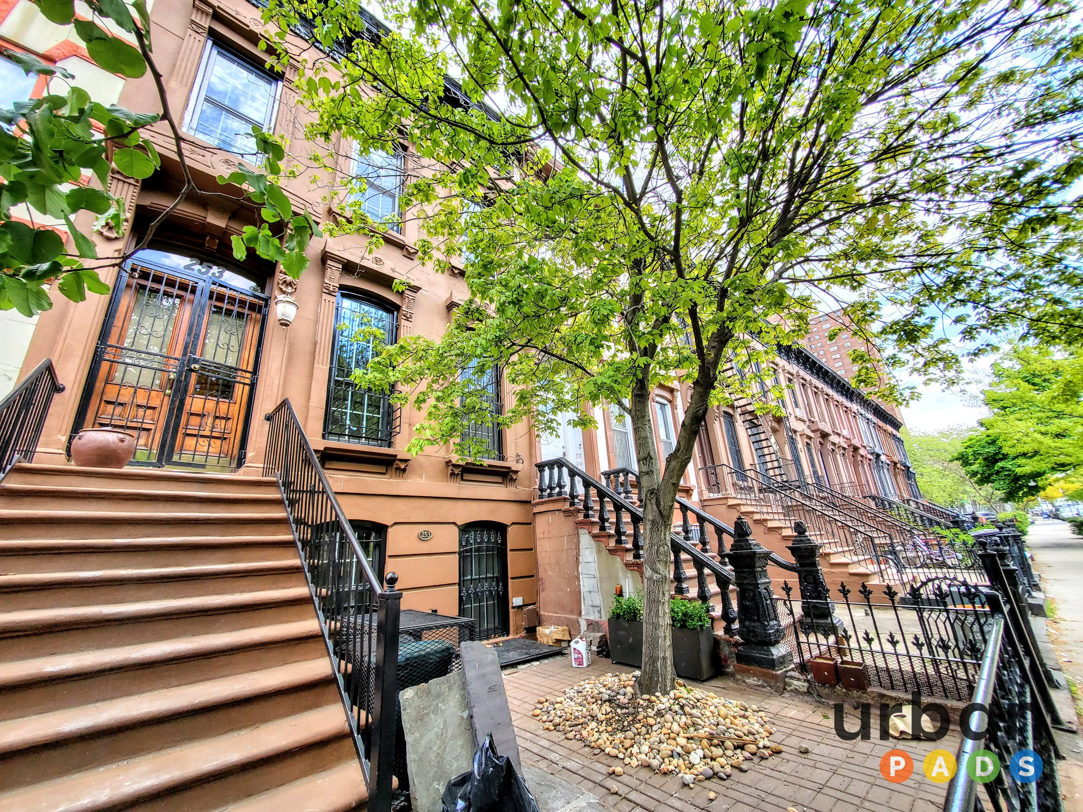 253 Vernon Avenue #GARDEN in Stuyvesant Heights, Brooklyn | StreetEasy