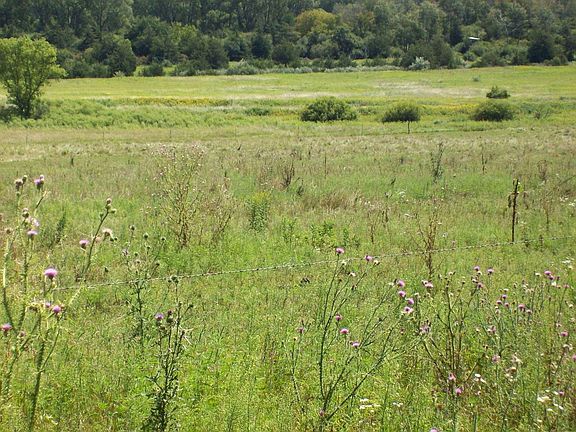 County Road B Lot 4, Dalton, WI 53926 | MLS #1983714 | Zillow