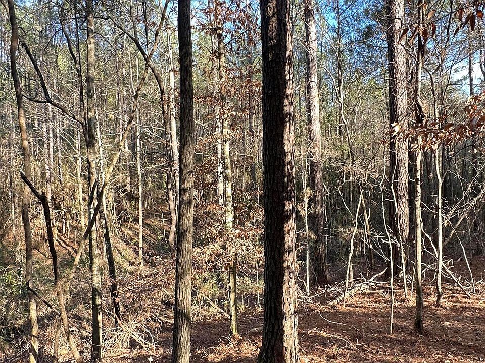 0 Gravel Rd, Oak Vale, MS 39656 | MLS #136866 | Zillow