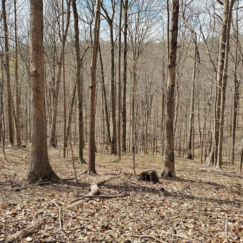 0 State Route 772, Rarden, OH 45671 | MLS #149799 | Zillow