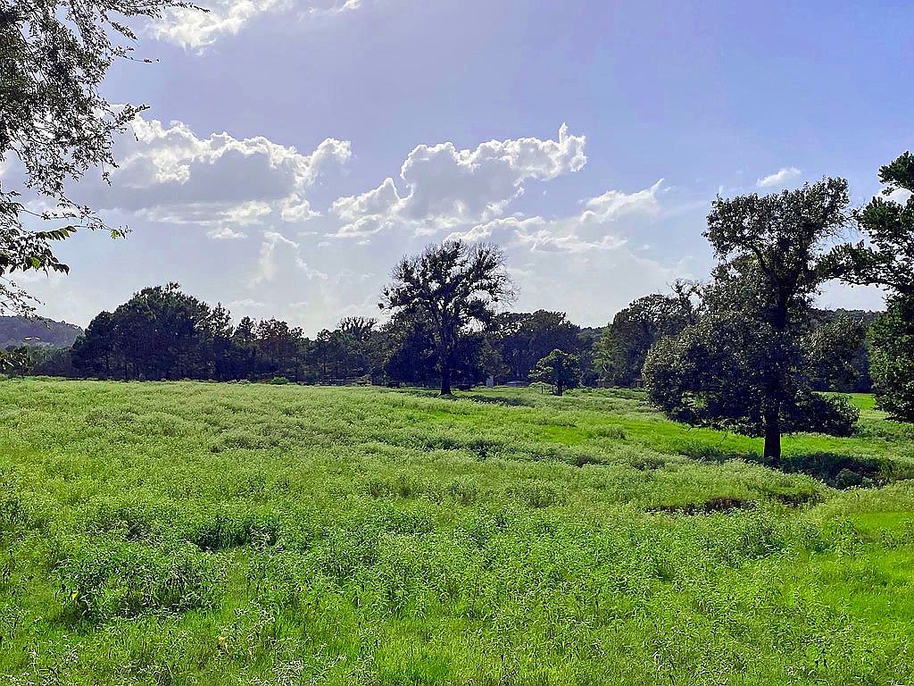 County Road 4325, Larue, TX 75770 | Zillow