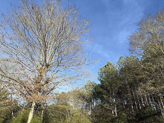 0 Georgetown Rd NW LOT 1, Cleveland, TN 37312 | MLS #2762437 | Zillow