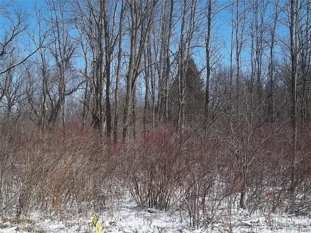 0 Lewis Point Rd, Canastota, NY 13032 | Zillow 0 Lewis Point Rd, Canastota, NY 13032 | Zillow