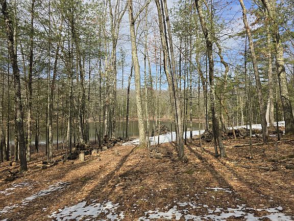 Oo Granger Rd, Irons, MI 49644 | MLS #24009454 | Zillow