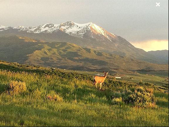 880 Buck Point Rd, Carbondale, CO 81623 | Zillow