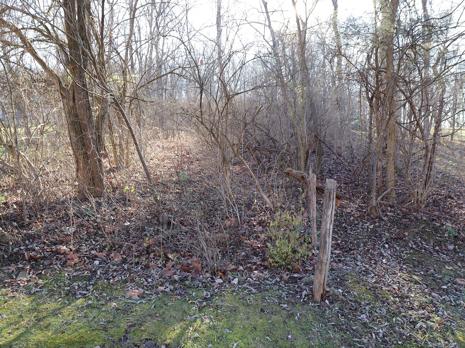 2 Nine Mile Rd, Melbourne, KY 41059 | Zillow