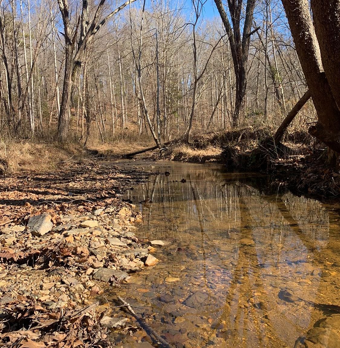 0 Hat Creek Rd, Brookneal, VA 24528 | Zillow