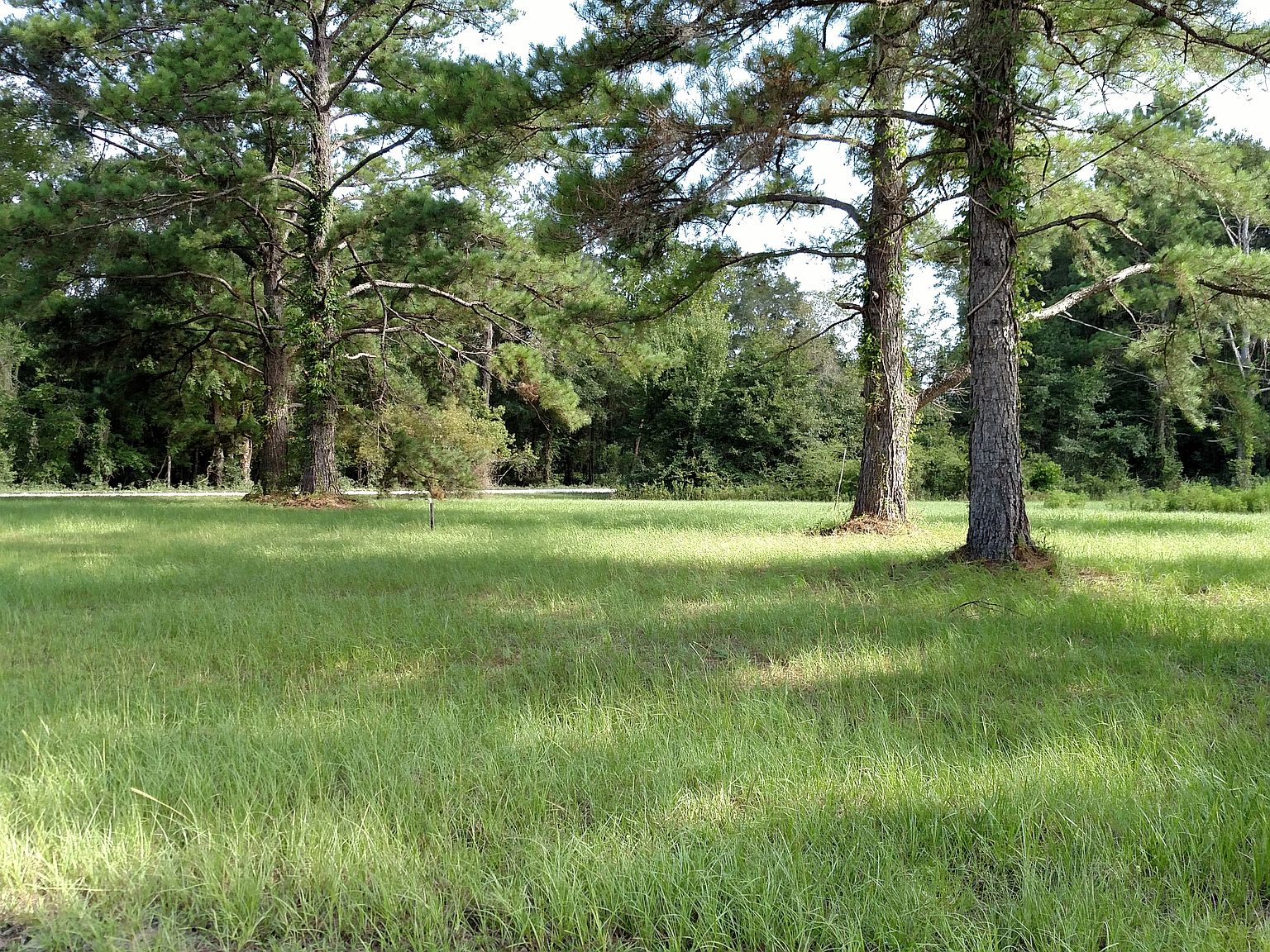 2515 Williamson Ln, Perry, FL 32348 | Zillow