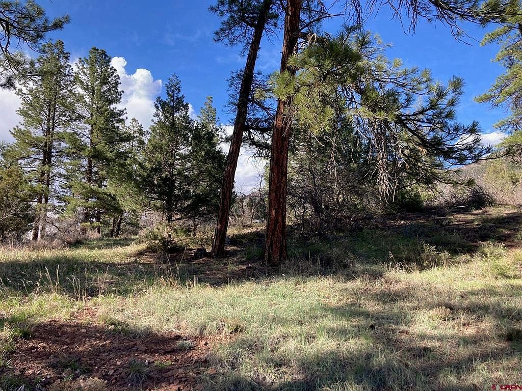Lot 1 Filing #1 Mary's Road, Ridgway, CO 81432 | MLS #823254 | Zillow