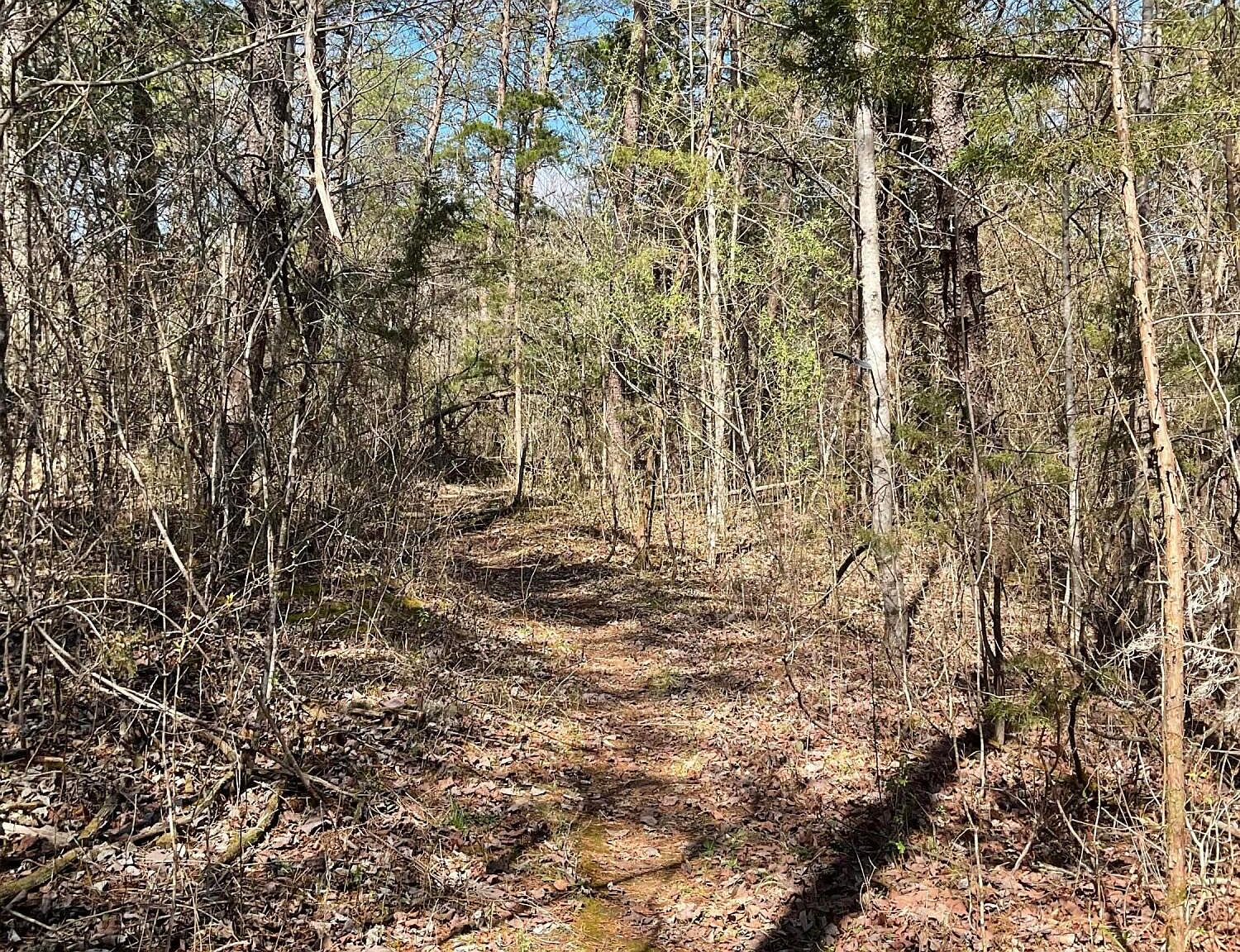 53 Caney Branch Spur, Burnside, KY 42519 | Zillow