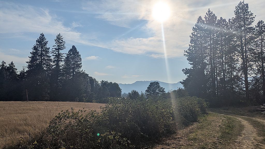 18673 State Highway 42, Camas Valley, OR 97416 | Zillow
