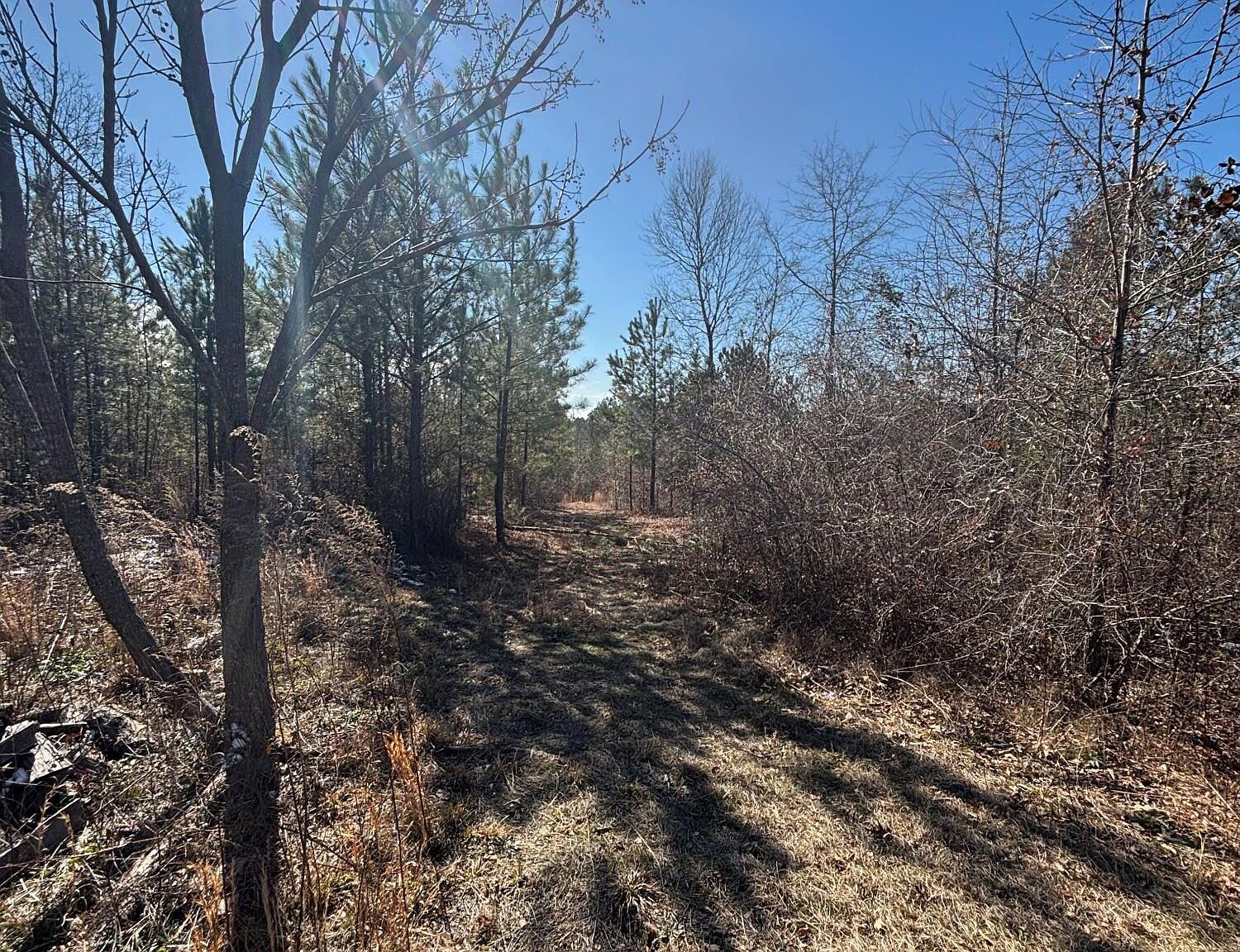 4 County Line Rd, Mitchell, GA 30820 | MLS #537487 | Zillow