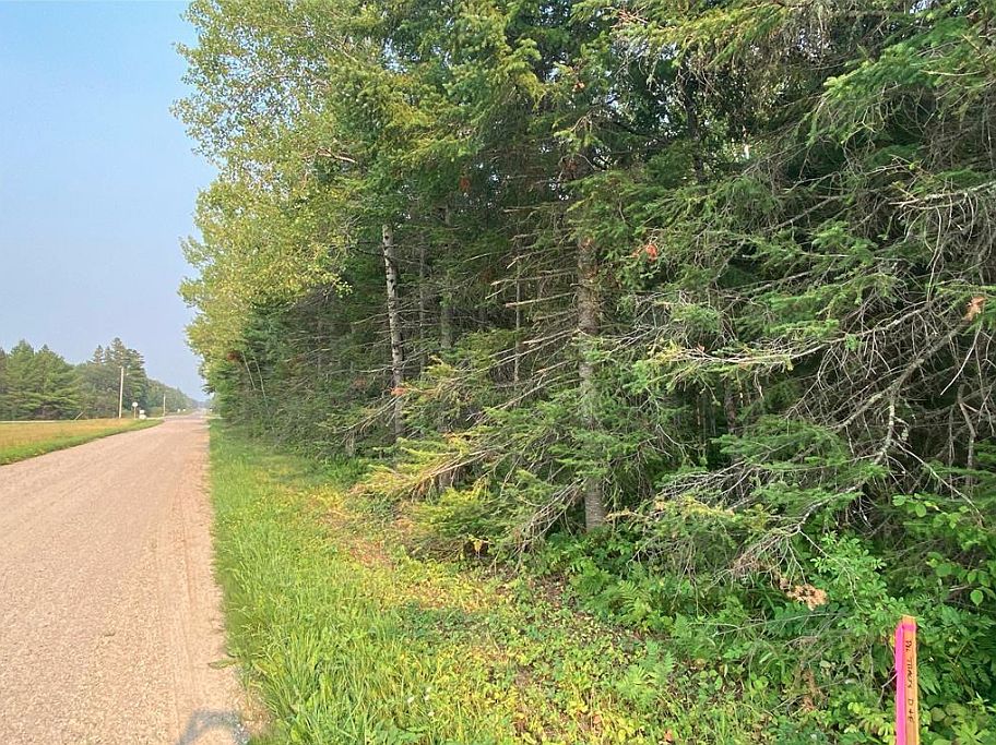 Hanson Rd, Bigfork, MN 56628 | MLS #6495238 | Zillow