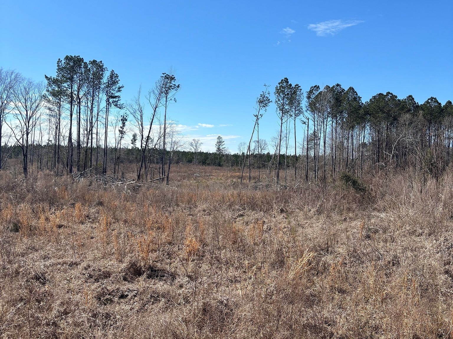 0 Glover Rd, Davisboro, GA 31018 | Zillow