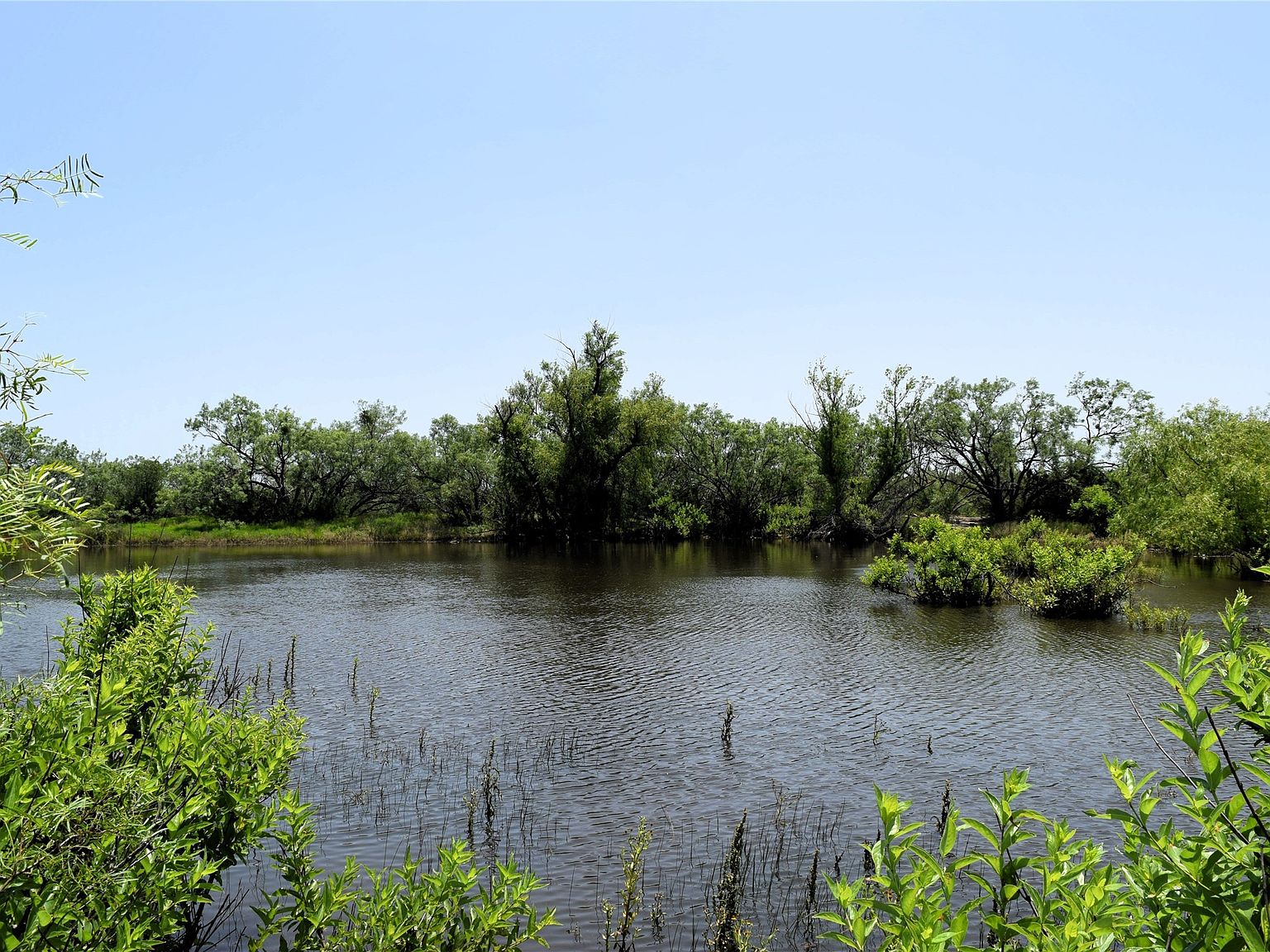 95 County Road 404, Valera, TX 76884 | MLS #20616500 | Zillow