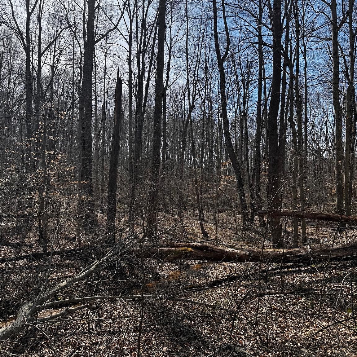 60 Spring Hill Ct, Prince Frederick, MD 20678 | Zillow