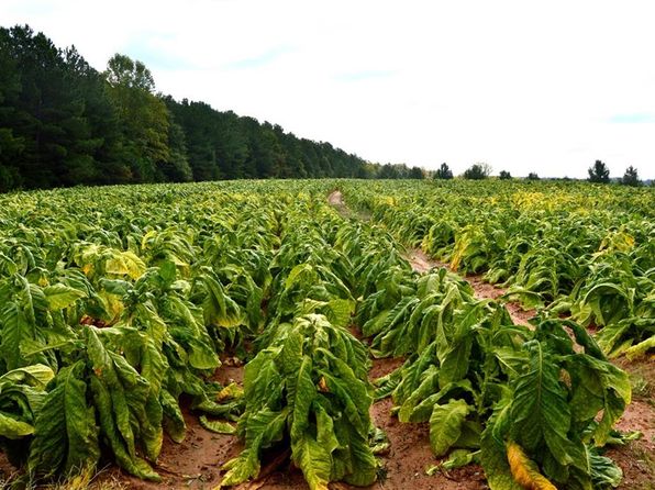 Ruffin NC Real Estate - Ruffin NC Homes For Sale | Zillow