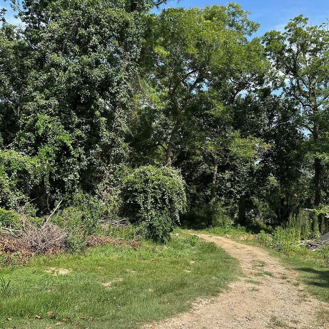 95 Rene Or Crescent St #443, Dayton, TX 77535 | MLS #29204394 | Zillow