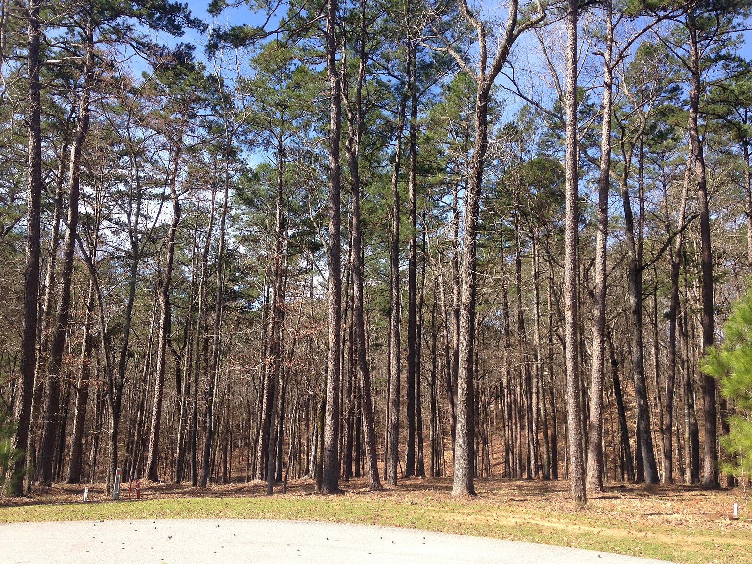 1091 Jones Bluff, Greensboro, GA 30642 | Zillow