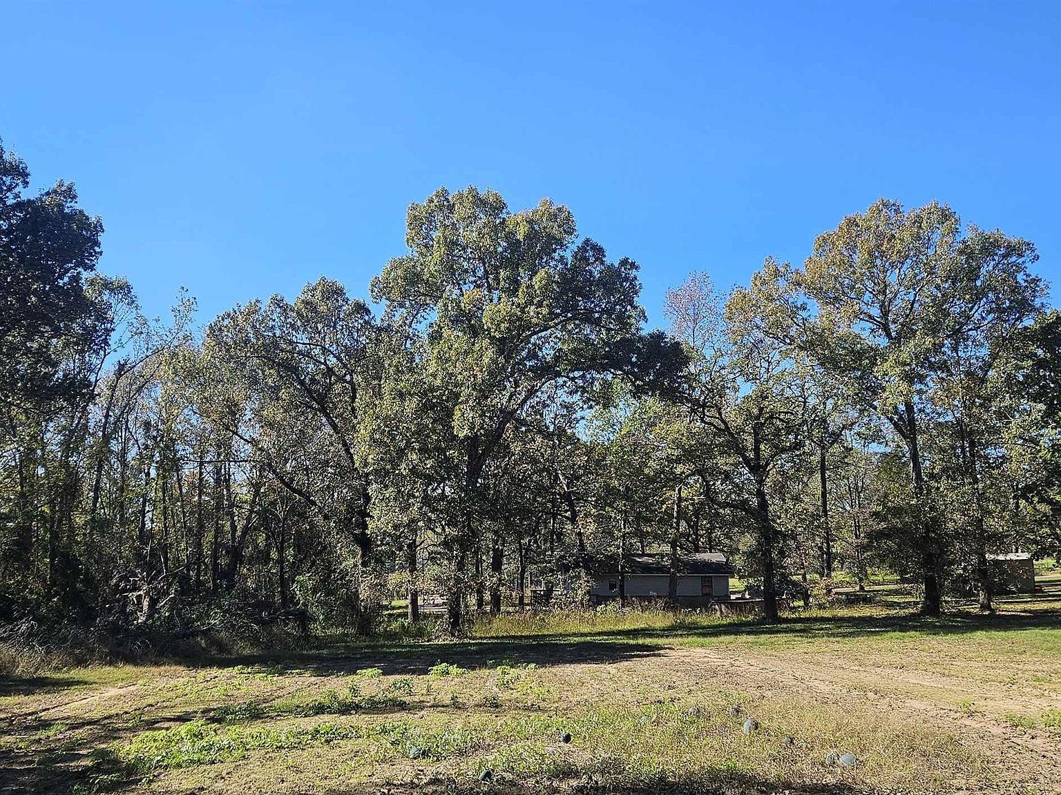 Walling Dr, Tyler, TX 75704 | MLS #24016933 | Zillow