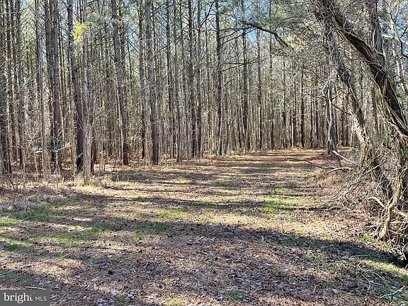 5076 Back Shelltown Rd, Marion Station, MD 21838 | MLS #MDSO2005148 ...