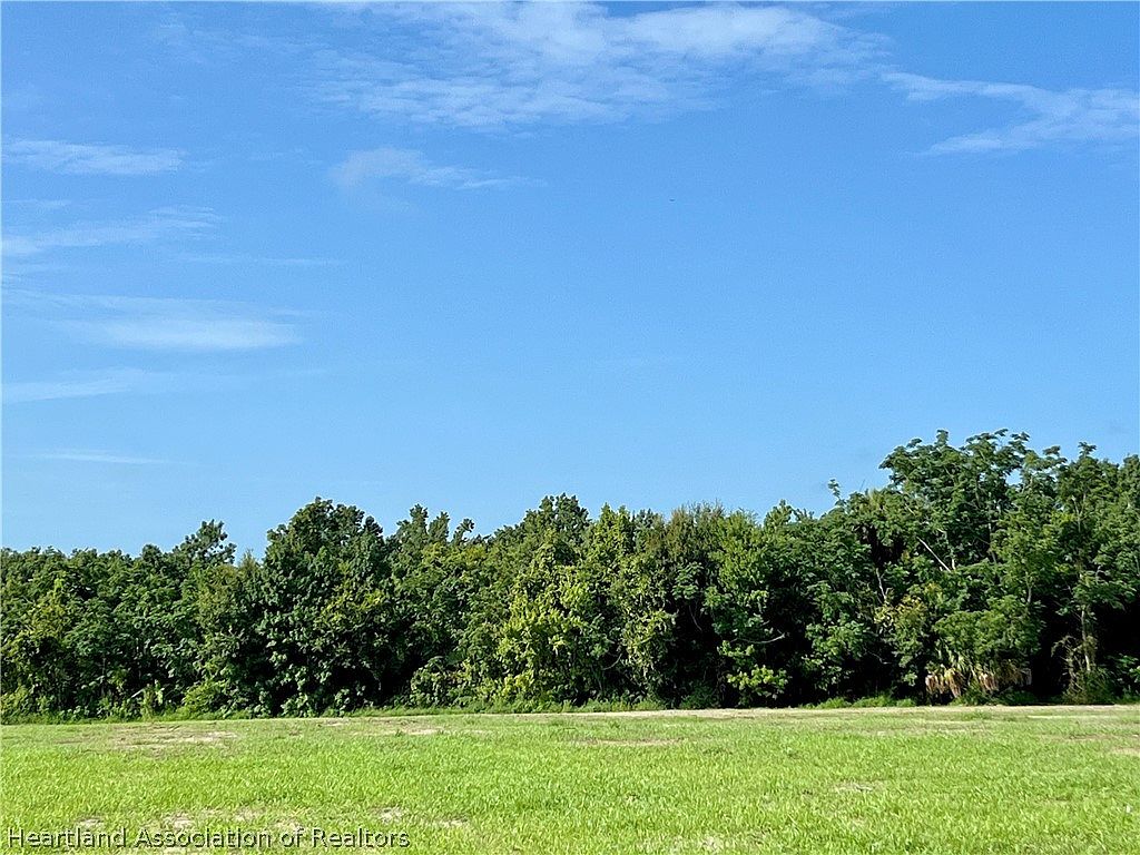 Alec Hendry Rd, Wauchula, FL 33873 | Zillow