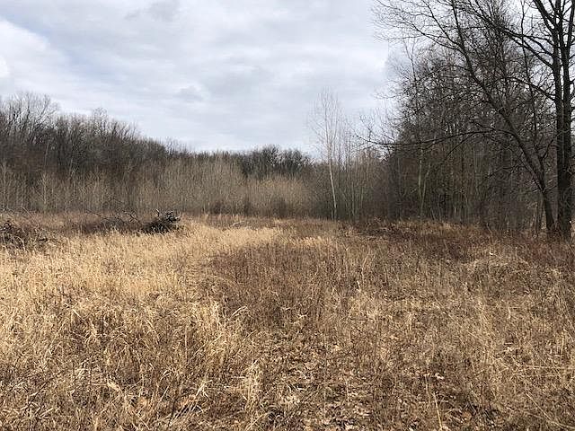 0 Yensch Rd, Maybee, MI 48159 | Zillow