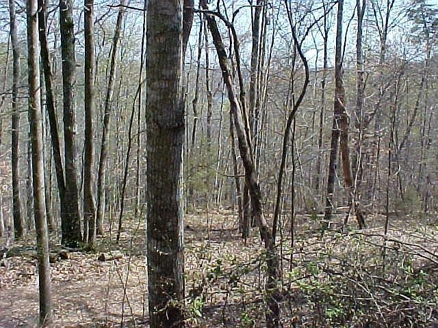 LOT 45 Walleye Point, Sharps Chapel, TN 37866 | Zillow