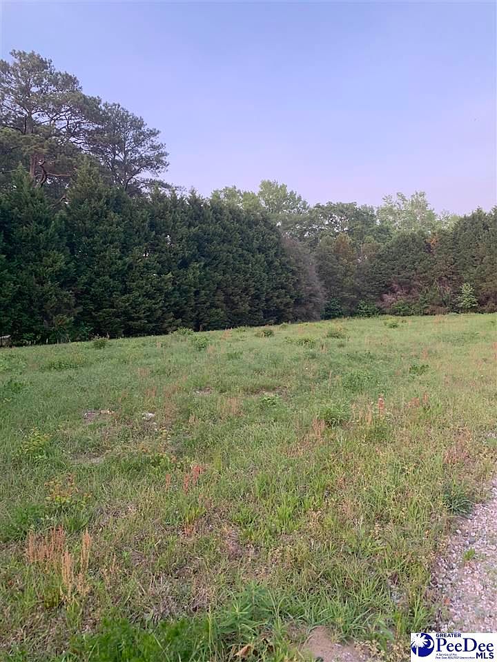 Devon Dr, Dillon, SC 29536 | MLS #20251484 | Zillow